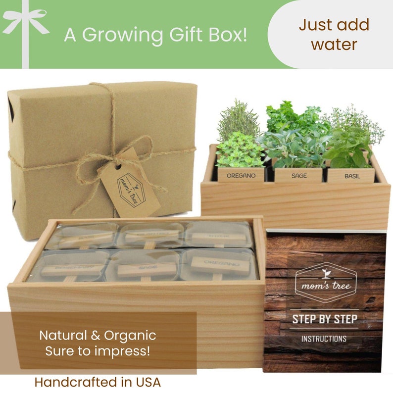 Birthday Herb Garden Gift Box: Cedar Wood, Personalized Seed Starter ...