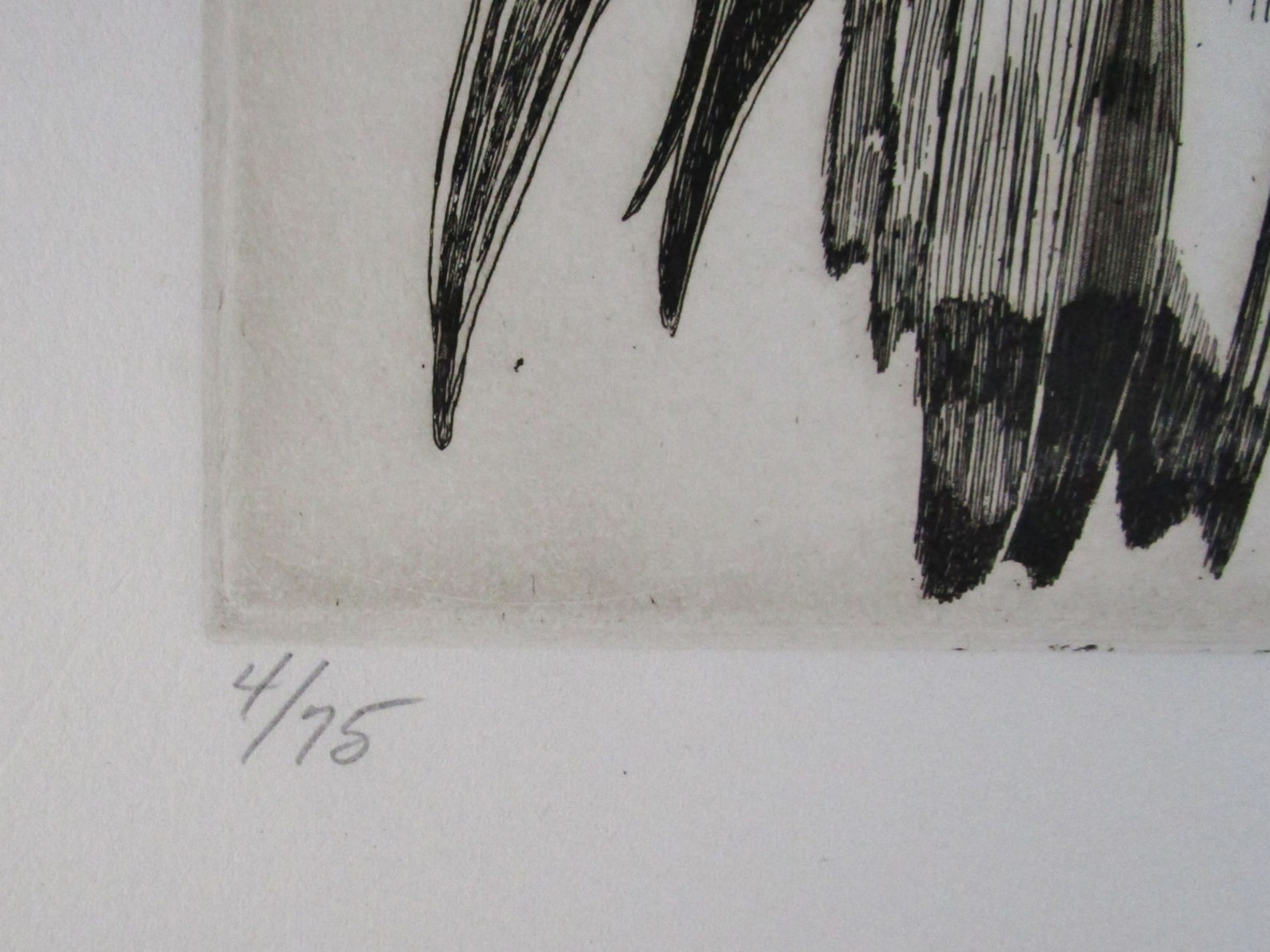 LINDA LLOYD Original Etching Predator Signed Numbered FREE | Etsy