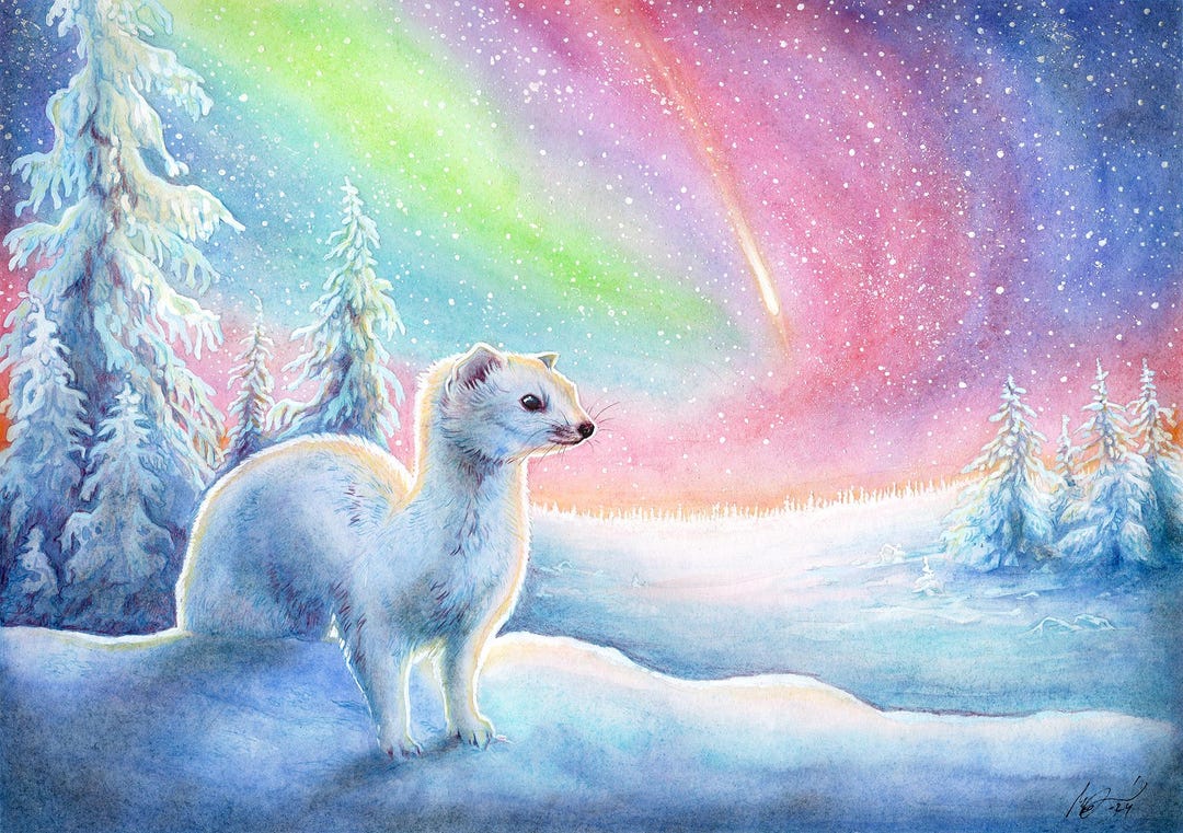 Comet A3 Poster Art Print - Etsy