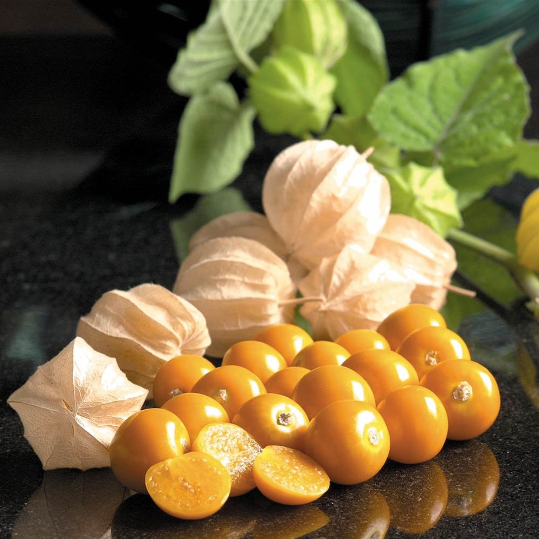 Inca Berry 60+ Freshly Harvested Seeds for the 2026 Season - Etsy