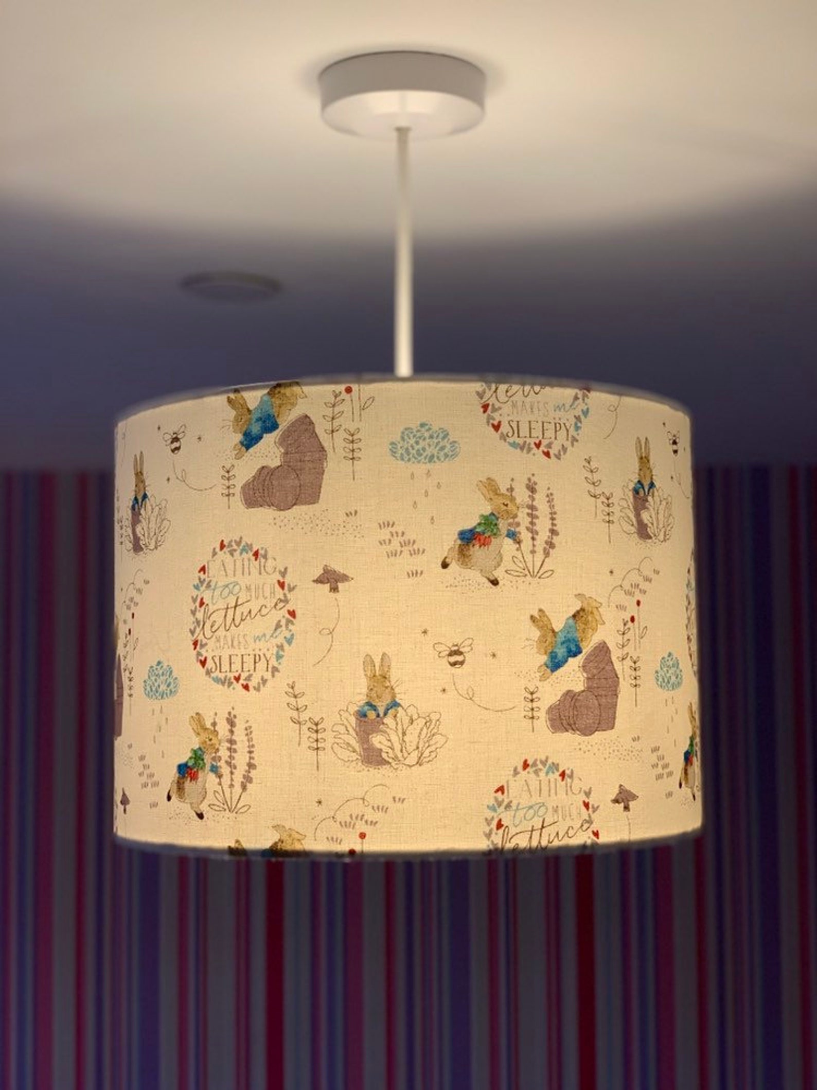 Peter Rabbit Beatrix Potter Inspired Lamp Shade Light - Etsy UK