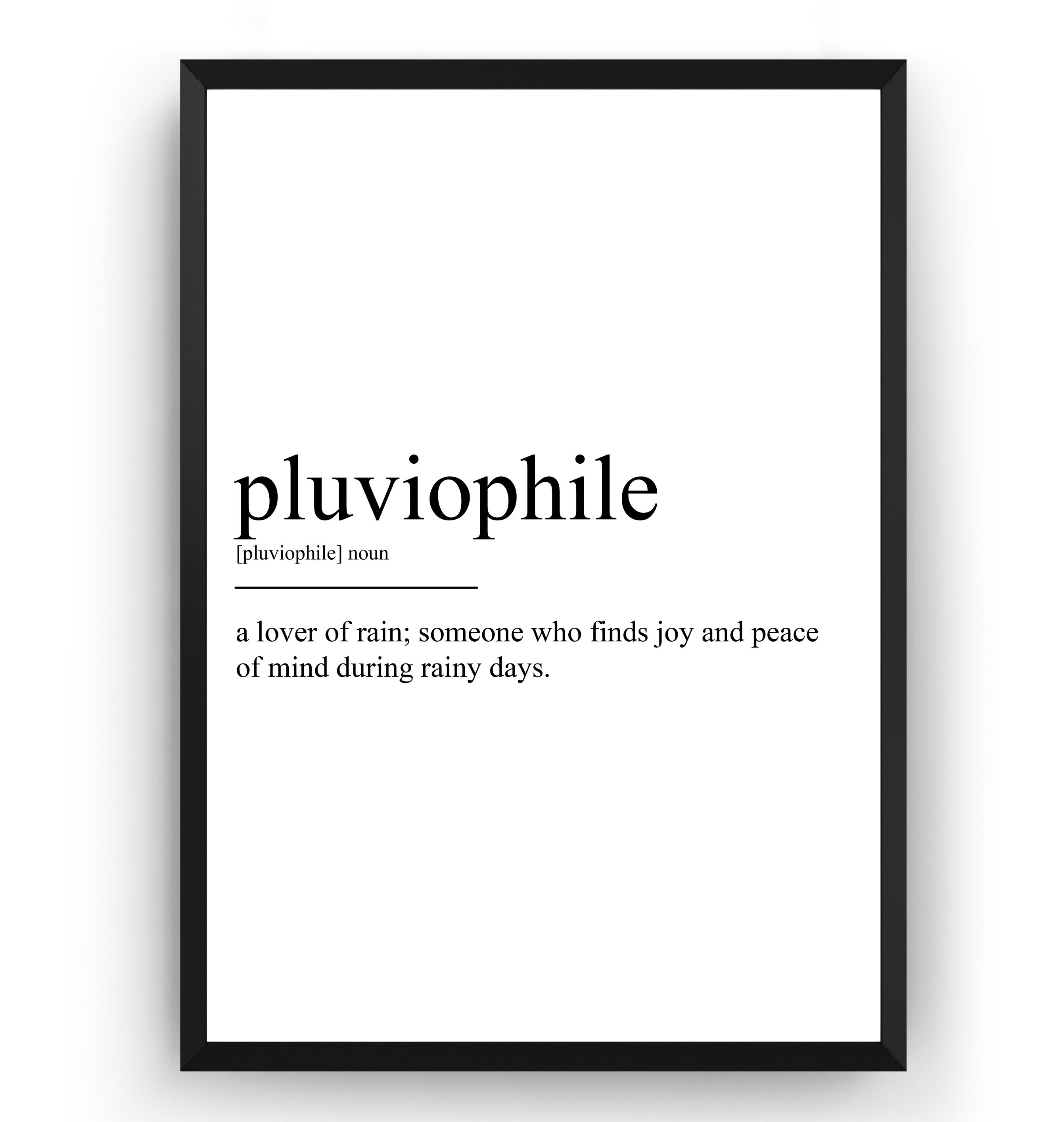 Pluviophile Definition Print - Etsy UK