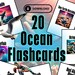 Printable Ocean Flashcards for Kids Educational Marine Life Cards, 20 ...