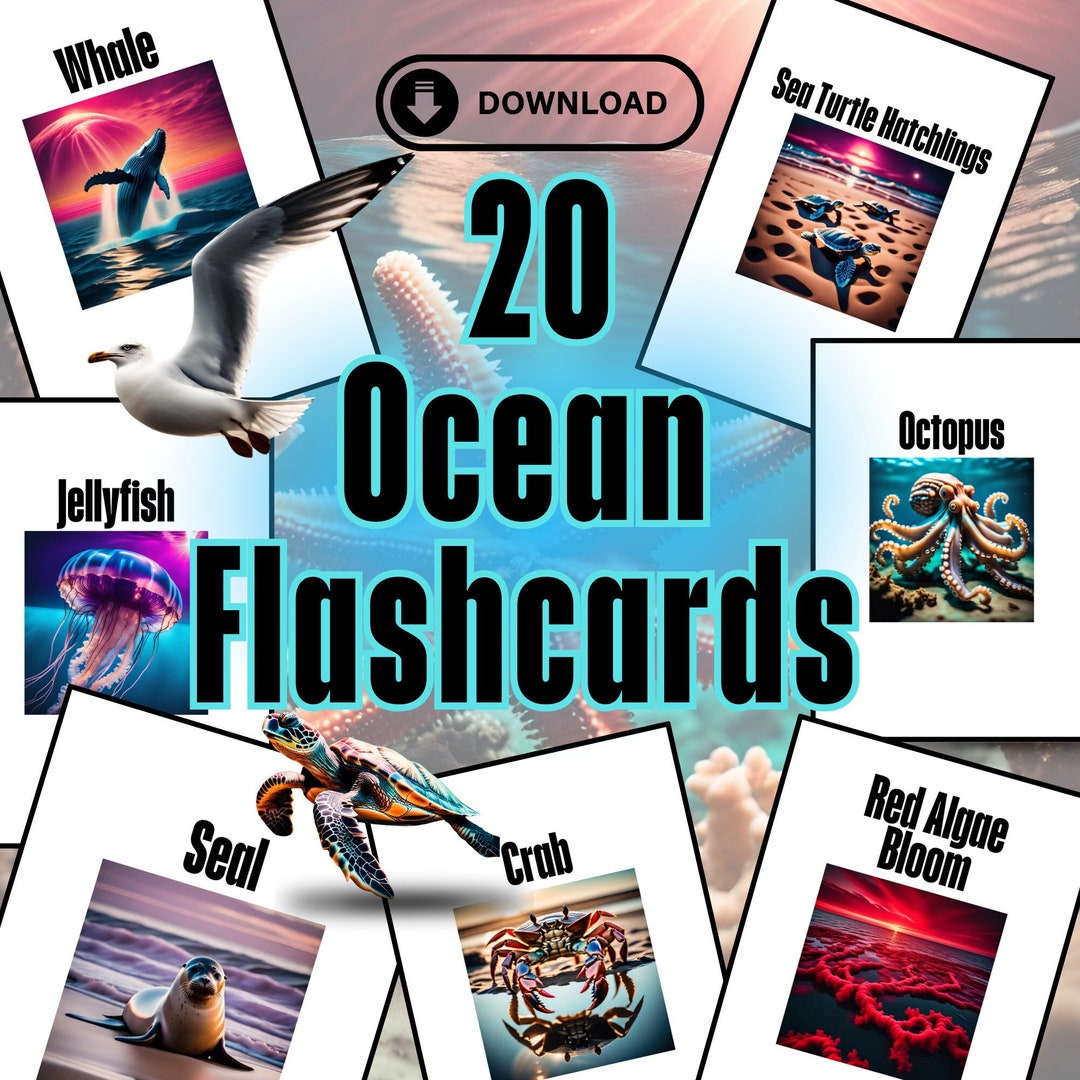 Printable Ocean Flashcards for Kids Educational Marine Life Cards, 20 ...