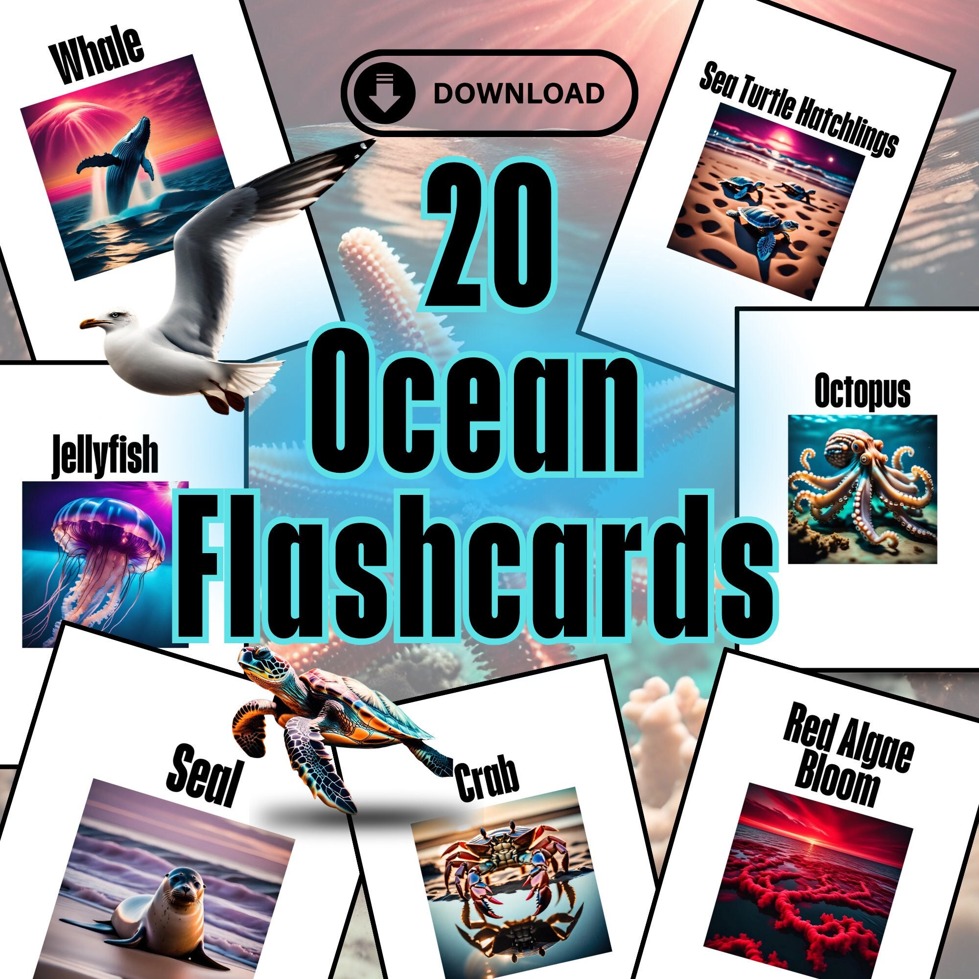 Printable Ocean Flashcards for Kids Educational Marine Life Cards, 20 ...