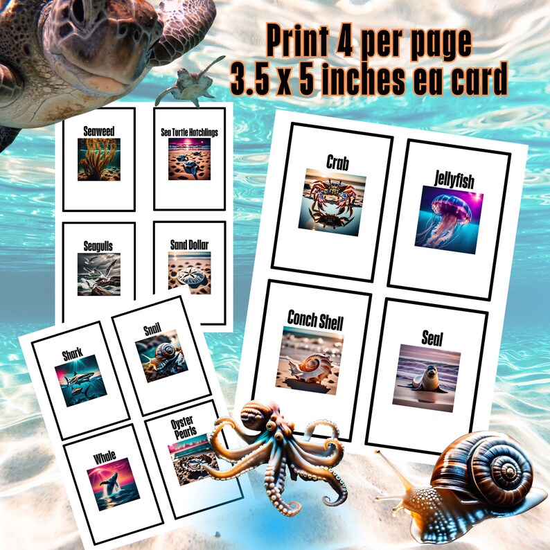 Printable Ocean Flashcards for Kids Educational Marine Life Cards, 20 ...