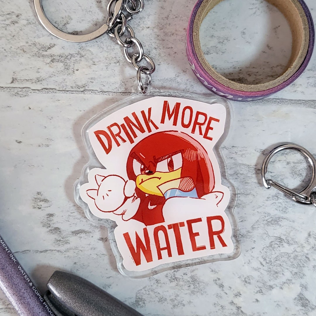 Knuckles Drink More Water 2.5in Acrylic Keychain Charm | Sonic the ...