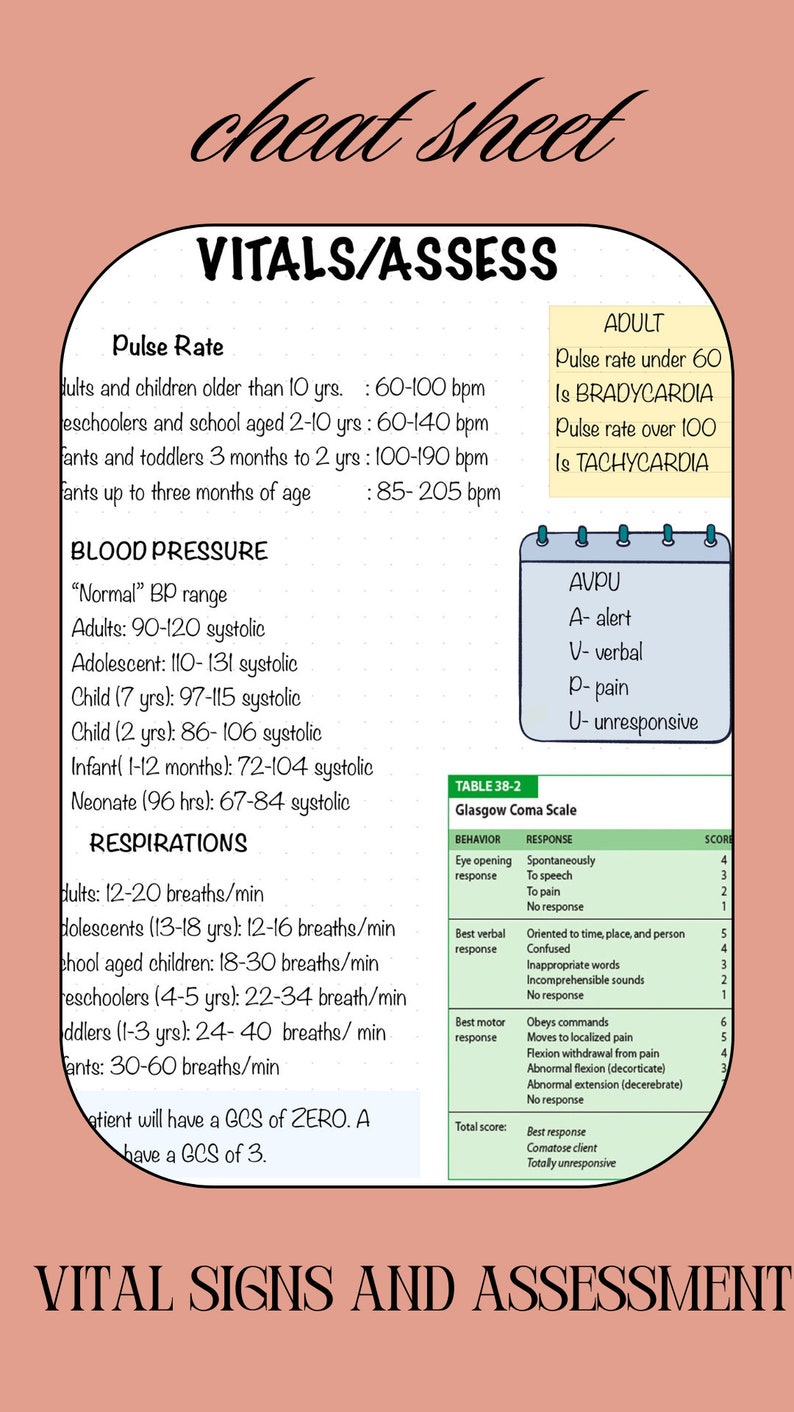 Vital Sign Reference Sheet for All Ages EMT, Medical Assistant, LPN, Nursing - Etsy
