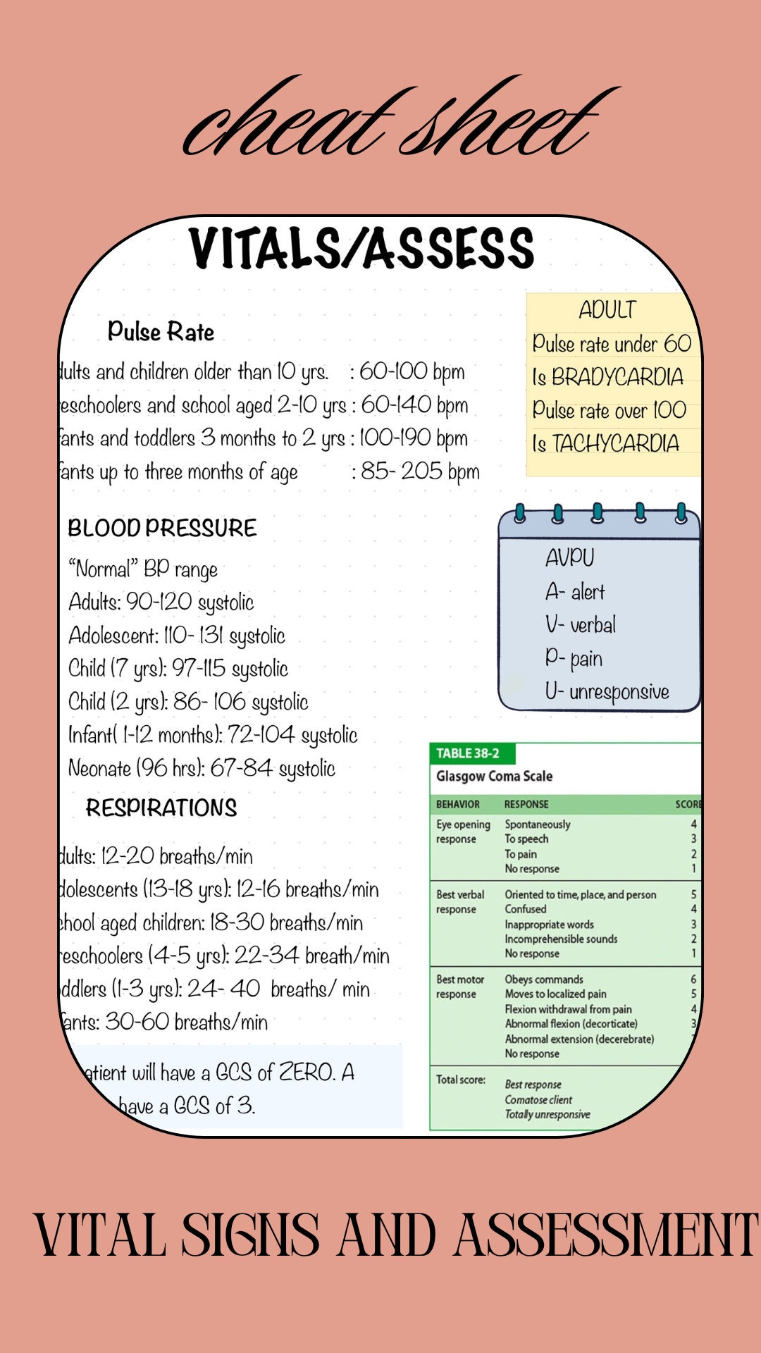 Vital Sign Reference Sheet for All Ages EMT, Medical Assistant, LPN ...