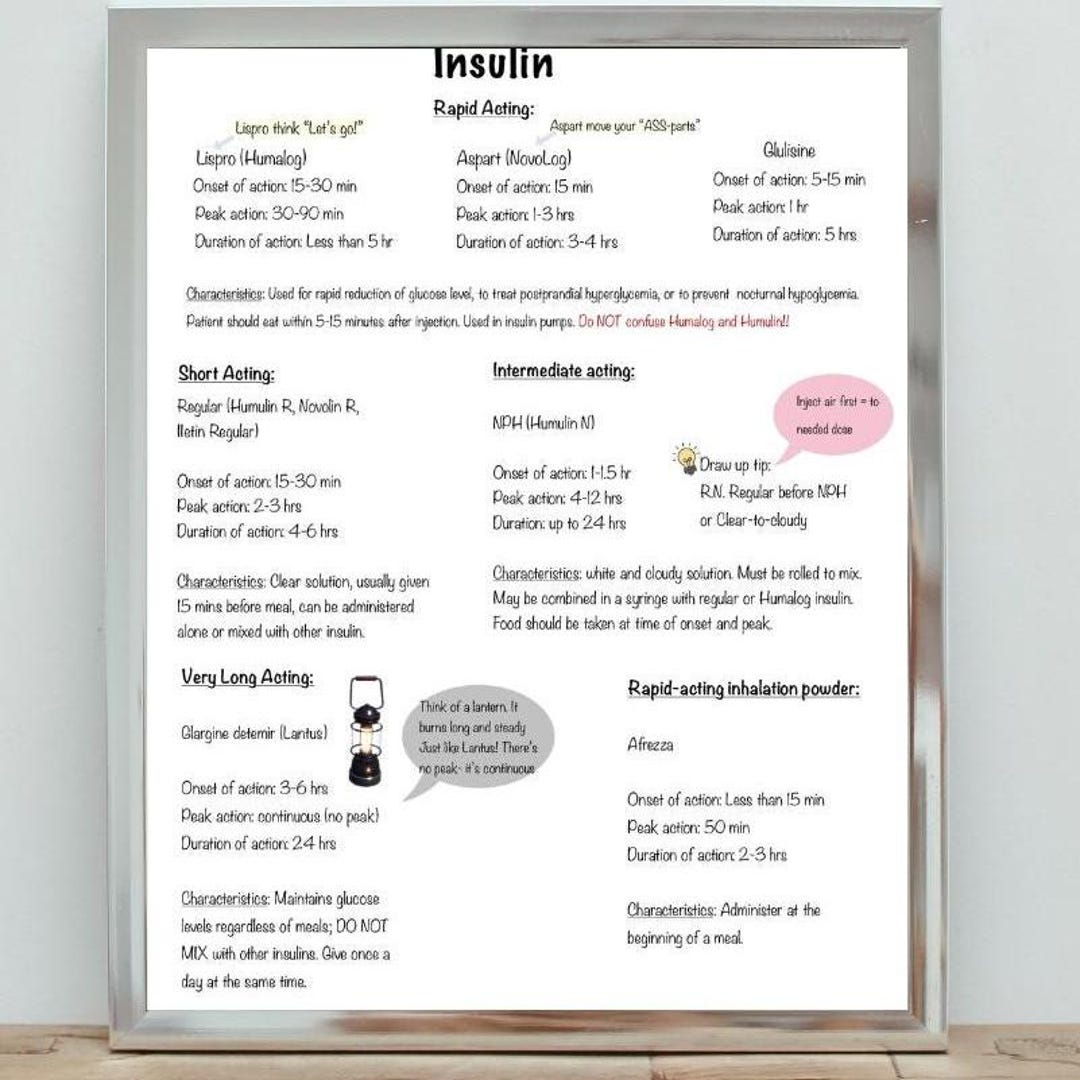 Nursing School Insulin Chart Diabetic Memory Aide Study Guide Nursing ...