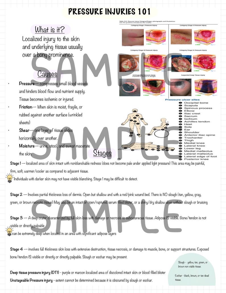 Pressure Injuries Nursing Fundamentals Study Guide - Etsy