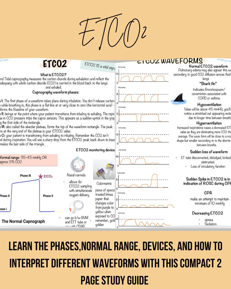 Master Your ETCO2 for Paramedics, AEMT, EMT, Nurses, RT Students - Etsy