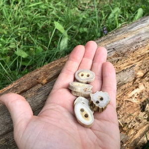 Antler Button, Large Buttons, Natural Deer Antler Buttons With Large ...