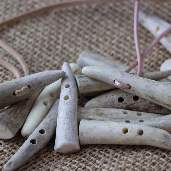 Antler Tip - Etsy