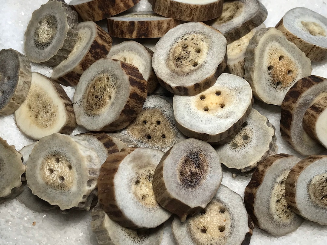 Antler Buttons, 4 Ct. Medium Lg. Natural Deer Antler Bone Buttons ...