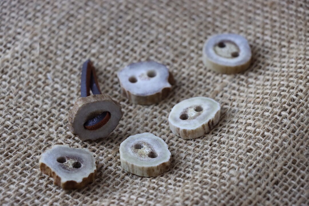 Deer Antler Button, 2 Ct. 1 Inch Deer Antler Button With Large Thread ...