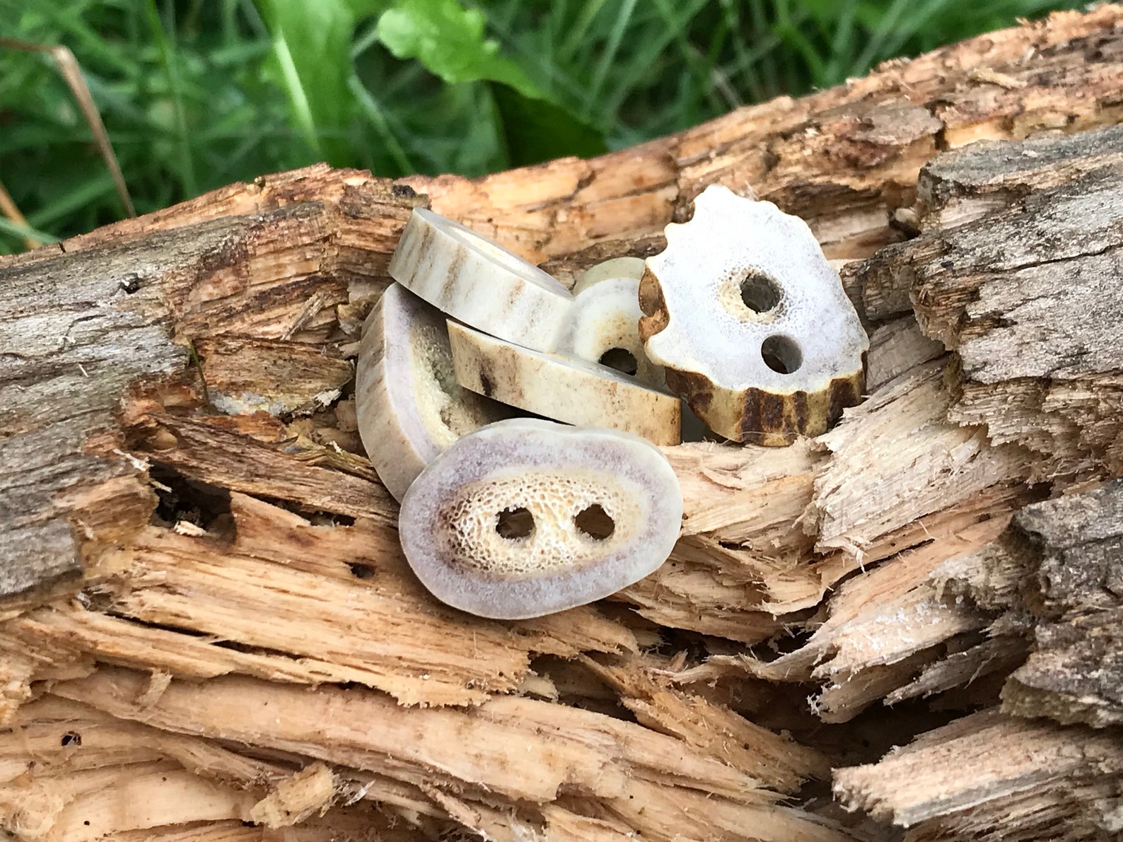 Antler Button Large Buttons Natural Deer Antler Buttons With | Etsy