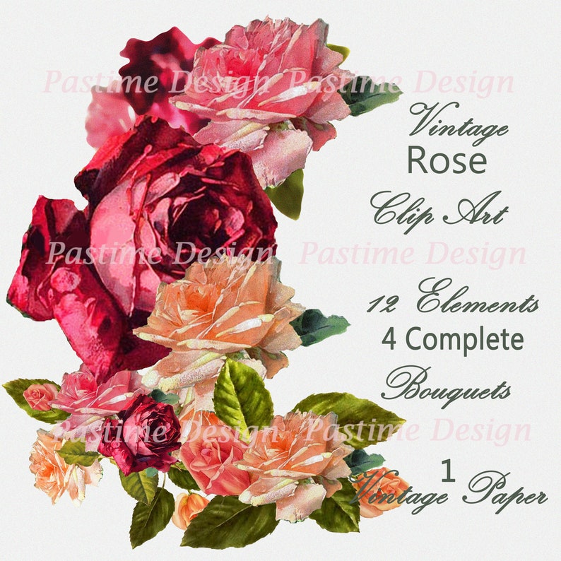 Vintage Rose Clip Art,vintage Flower Clip Art,vintage Rose Image ...