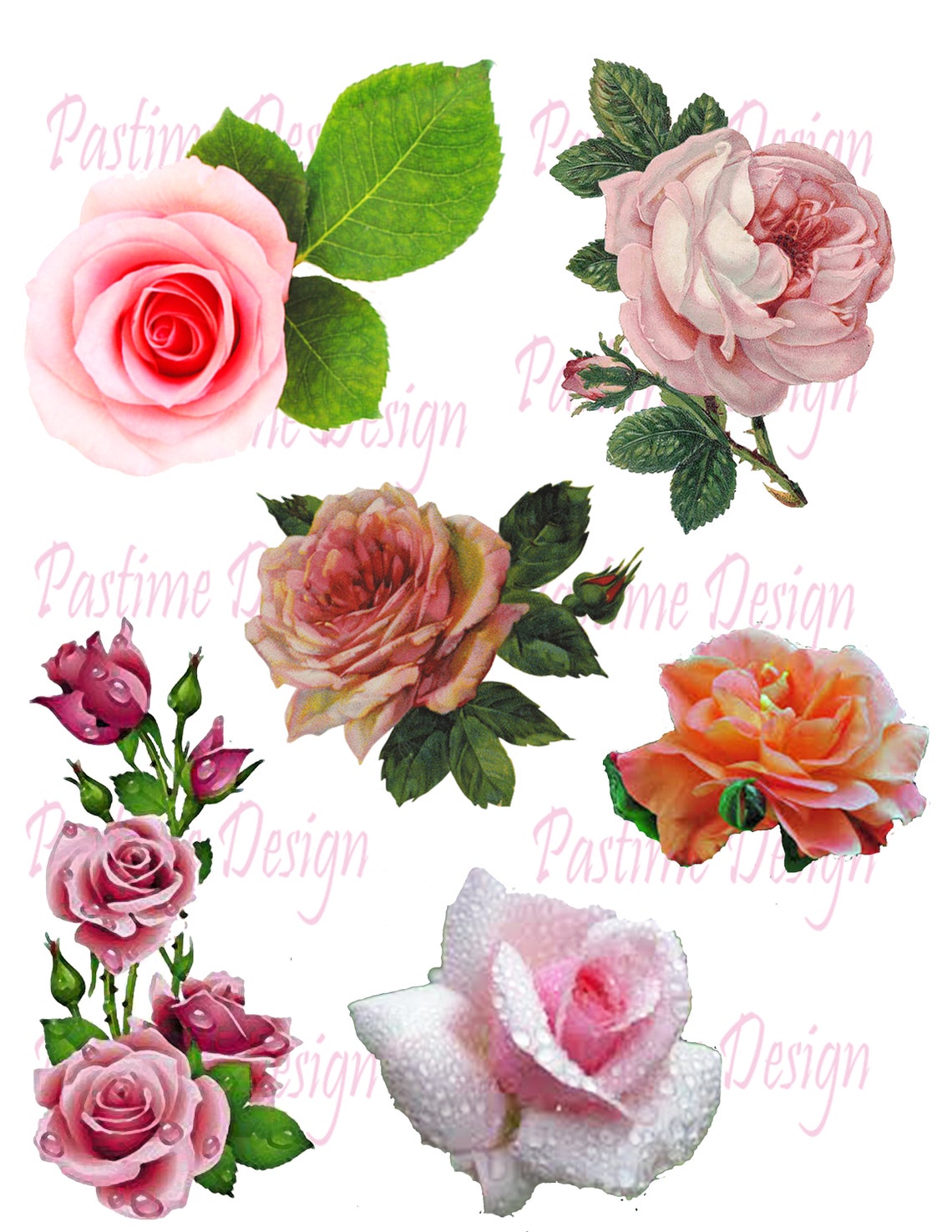 Vintage Rose Clip Art,flower Clip Art,vintage Rose Image,instant ...