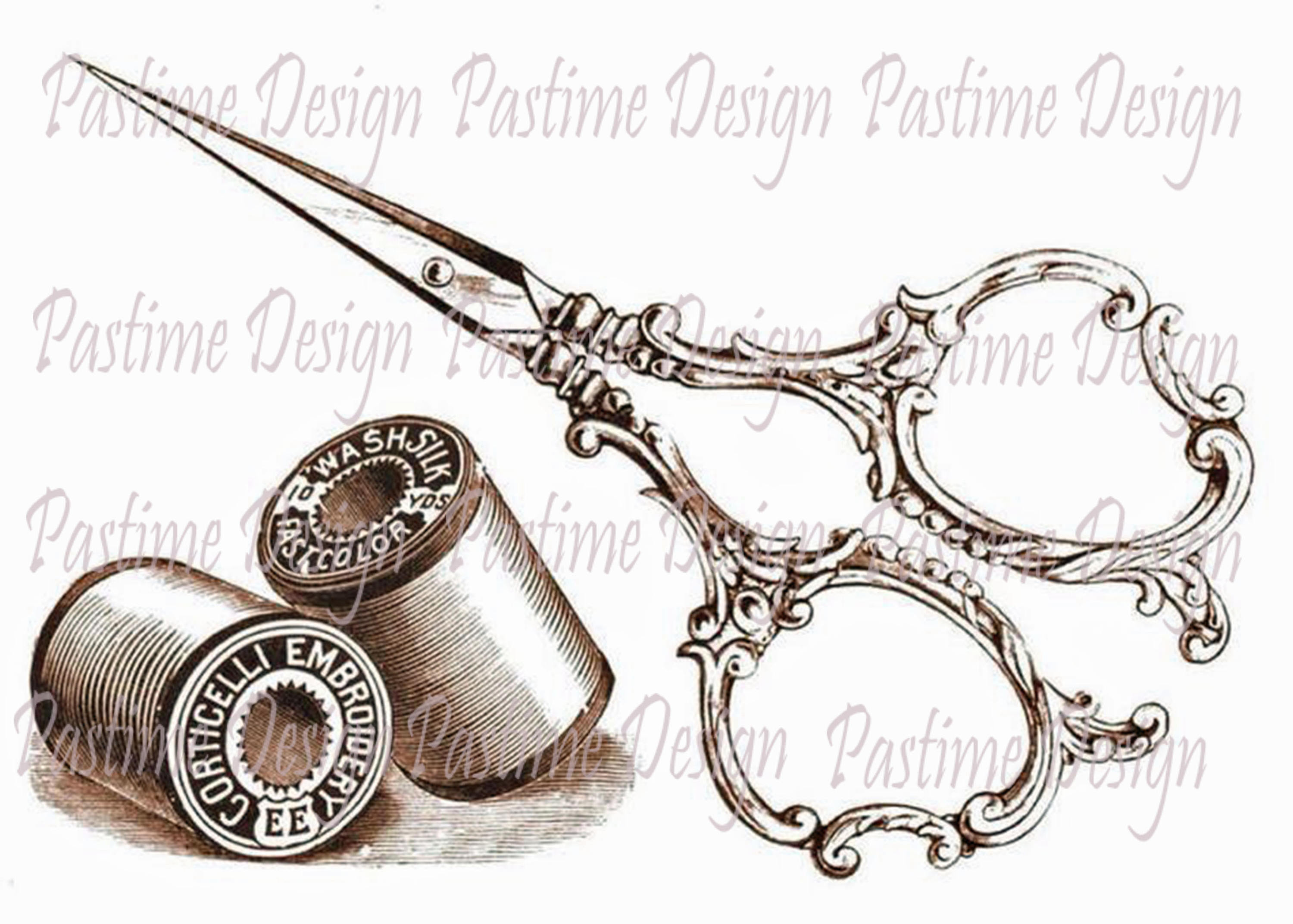 Vintage Scissors Drawing