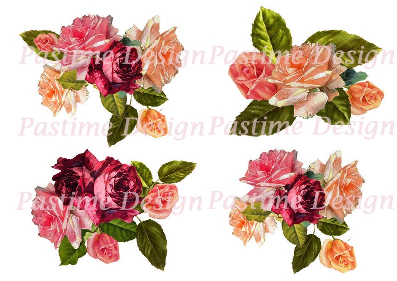 Vintage Rose Clip Art,vintage Flower Clip Art,vintage Rose Image ...