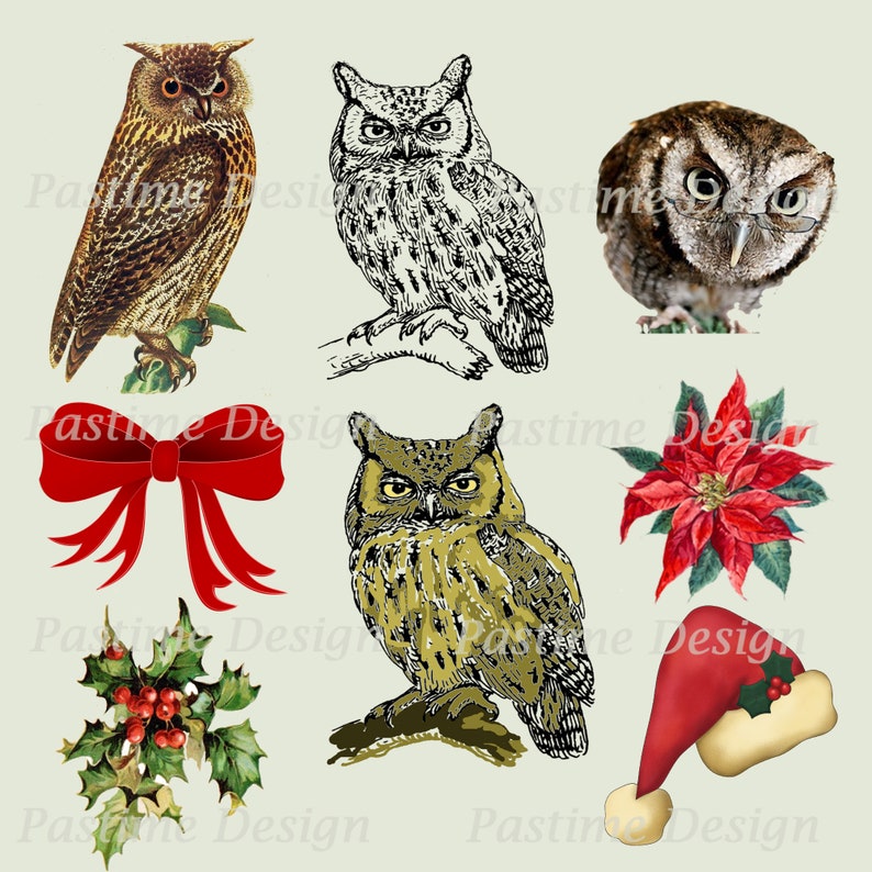 Christmas Owl Clip Art Christmas Owl Imagesinstant - Etsy