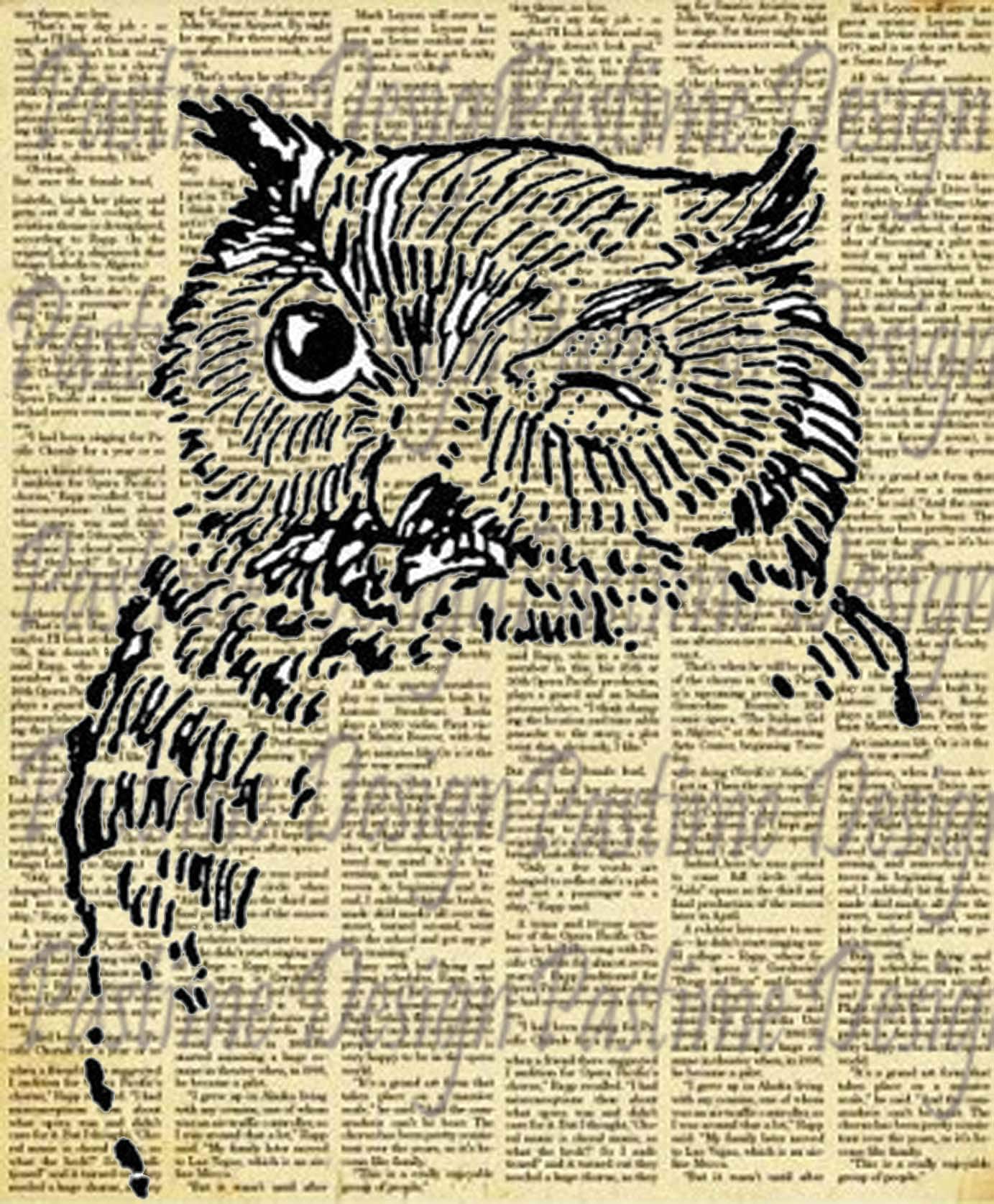 Antique Owl Clip Artvintage Owl Clip Art Vintage Owl Image - Etsy