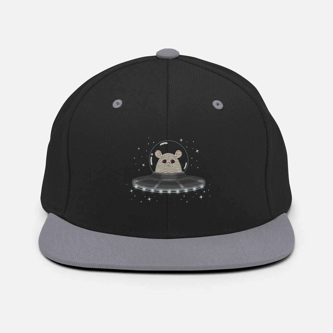 Cheeky Chins • Chinchilla • Space Chin • Snapback Hat - Etsy