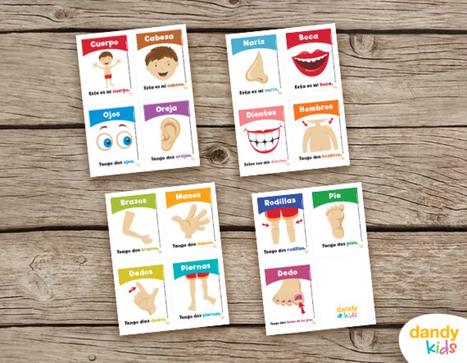SPANISH Body Flashcards / Printable Flashcards / Set of 15 / | Etsy