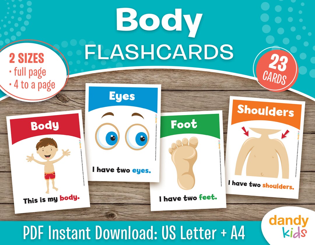 Body Flashcards Printable Body Flashcards My Body - Etsy