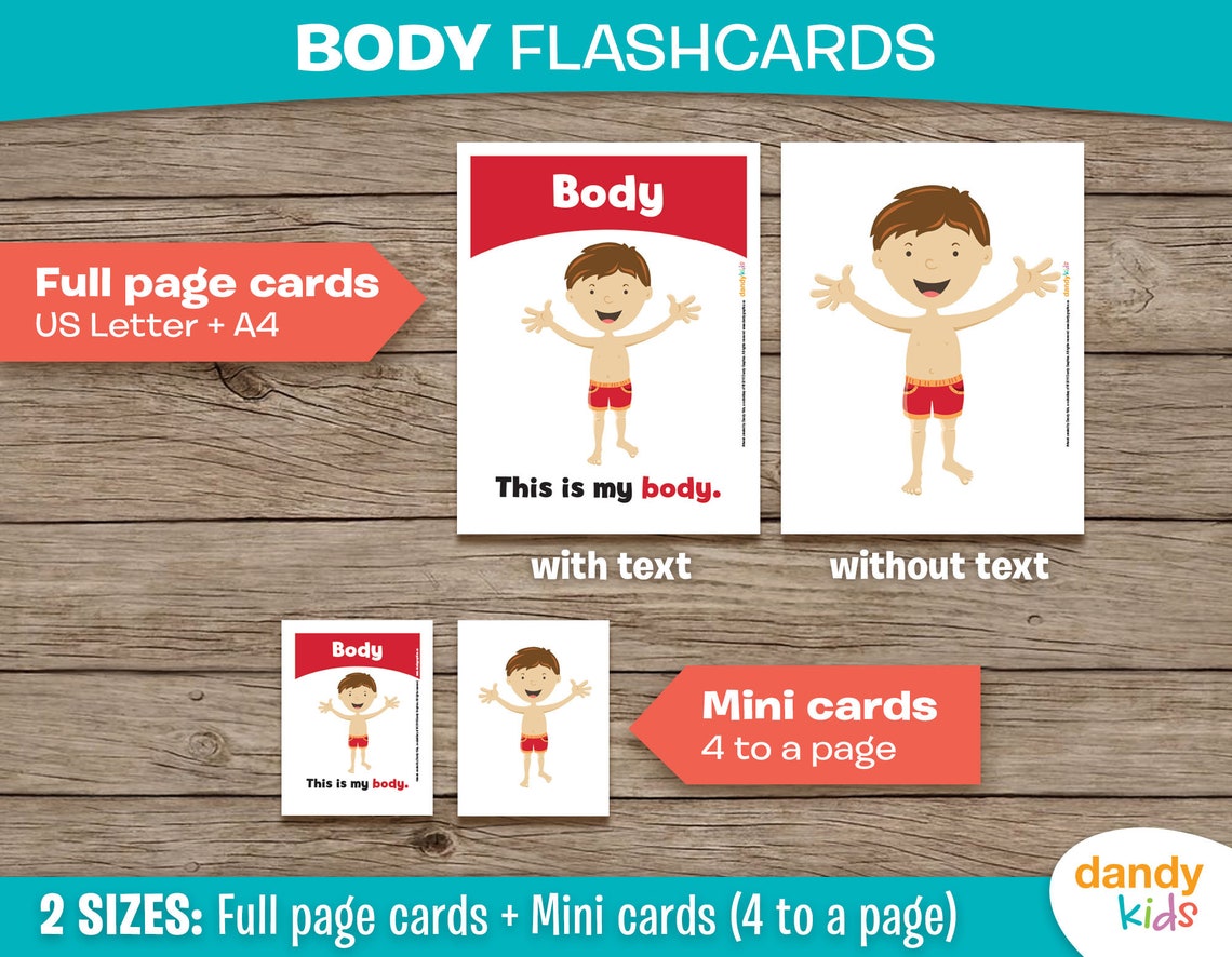 Body Flashcards Printable Body Flashcards My Body - Etsy