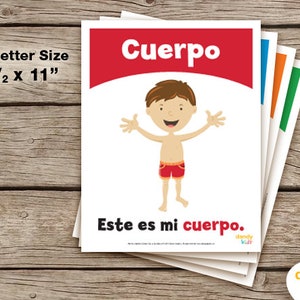 SPANISH Body Flashcards / Printable Flashcards / Set of 15 / | Etsy