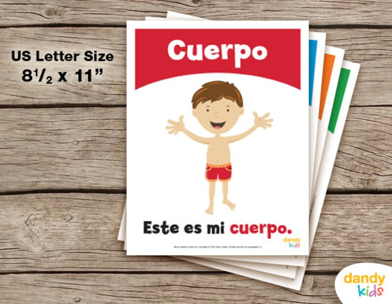 SPANISH Body Flashcards / Printable Flashcards / Set of 15 / | Etsy