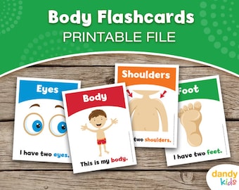 SPANISH Body Flashcards / Printable Flashcards / Set of 15 / | Etsy