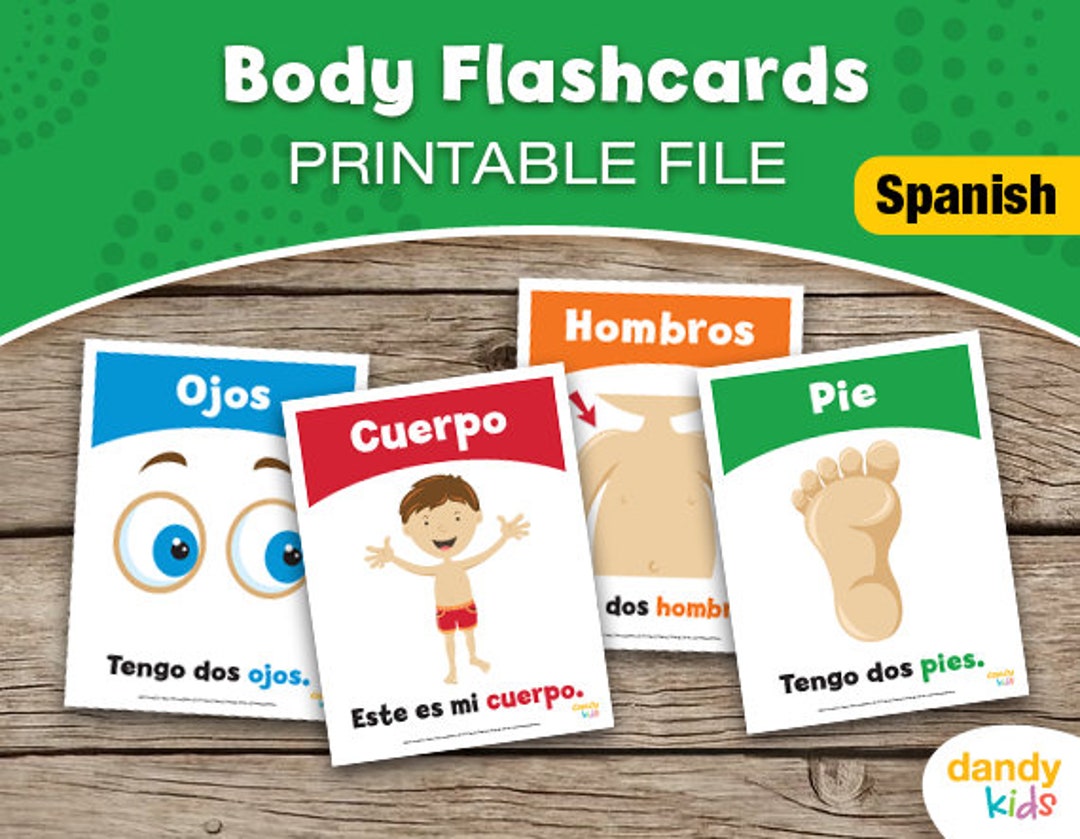 SPANISH Body Flashcards / Printable Flashcards / Set of 15 / - Etsy