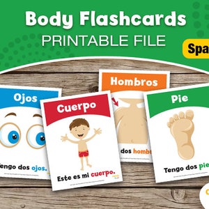 SPANISH Body Flashcards / Printable Flashcards / Set of 15 / - Etsy