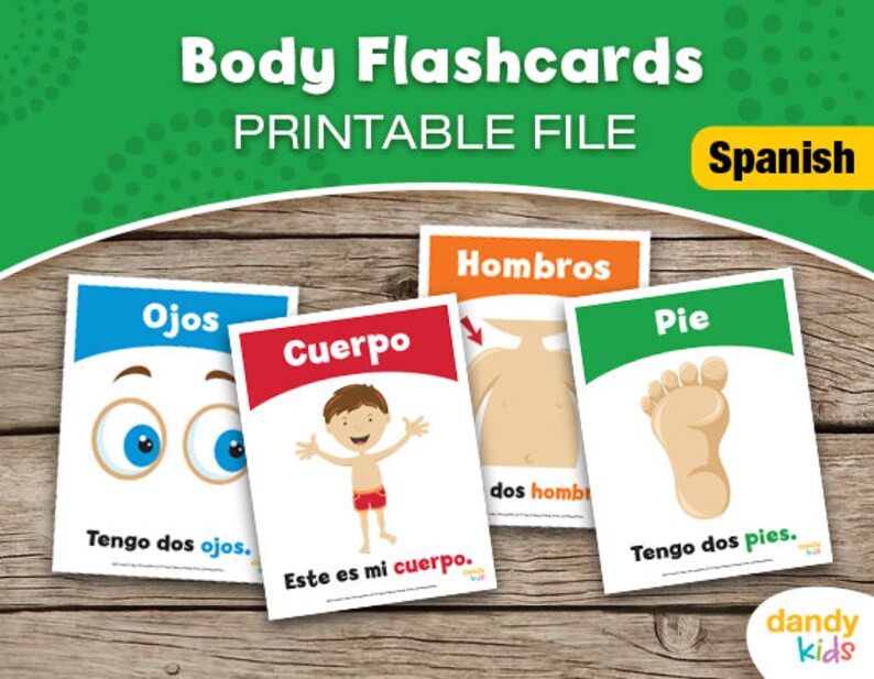 SPANISH Body Flashcards / Printable Flashcards / Set of 15 / - Etsy