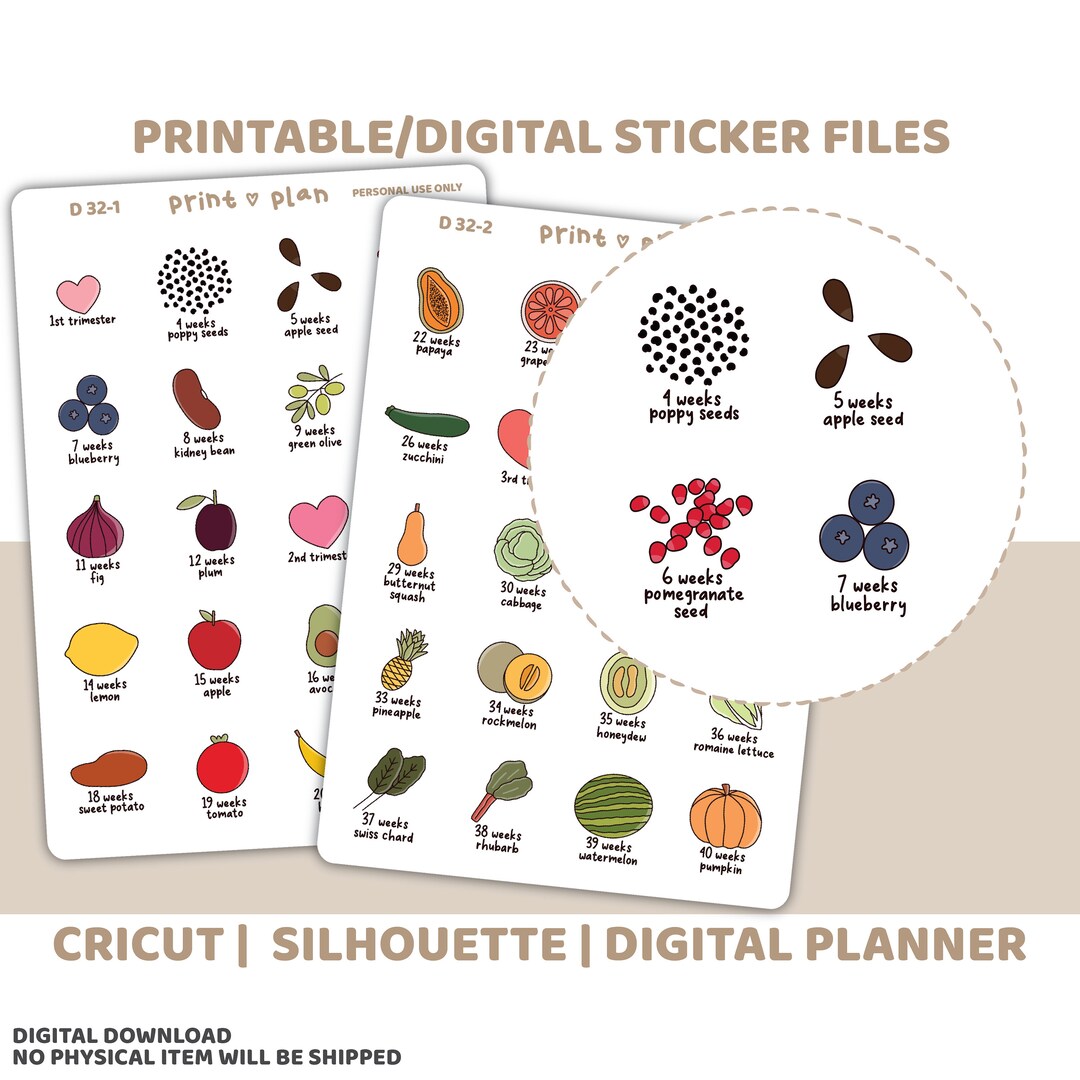 Pregnancy Weeks Printable Stickers | Digital Planner Sticker Download ...