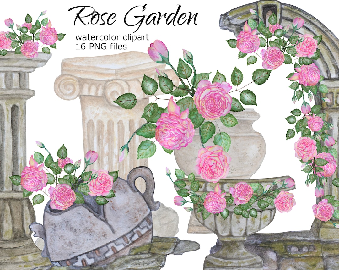 Watercolor Rose Garden Clipart Digital PNG Valentine Day - Etsy