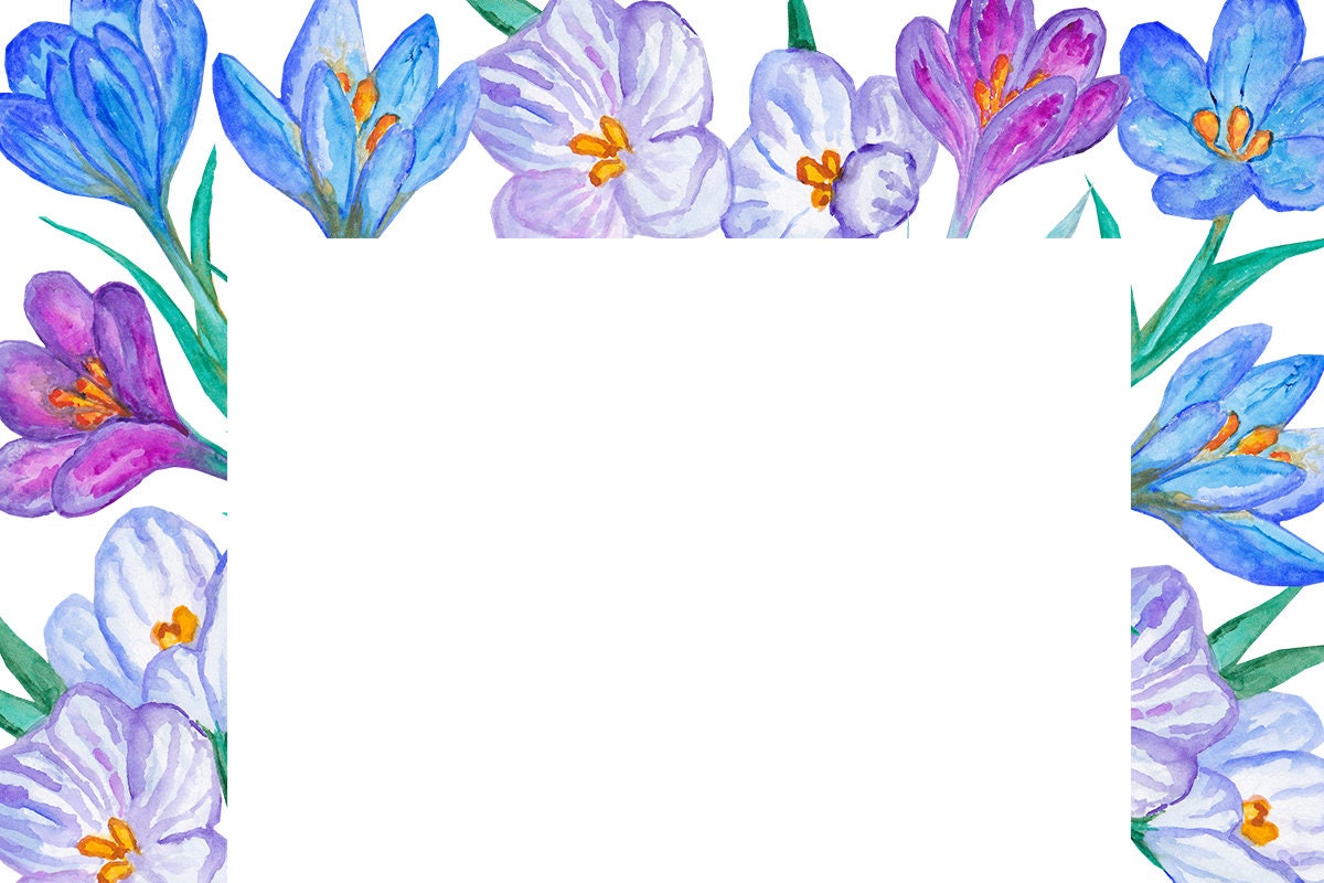 Crocuses Frame Watercolor Clipart Spring Florals Wedding Invitation ...