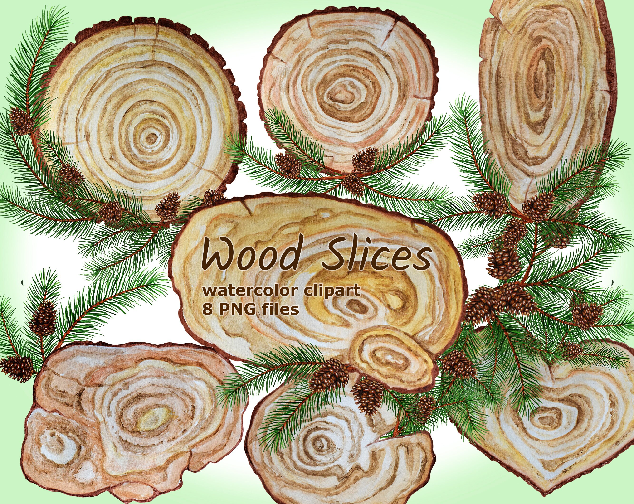 Watercolor Wood Slice сlipart 300 DPI Clip Art PNG Hand Drawn Nature ...
