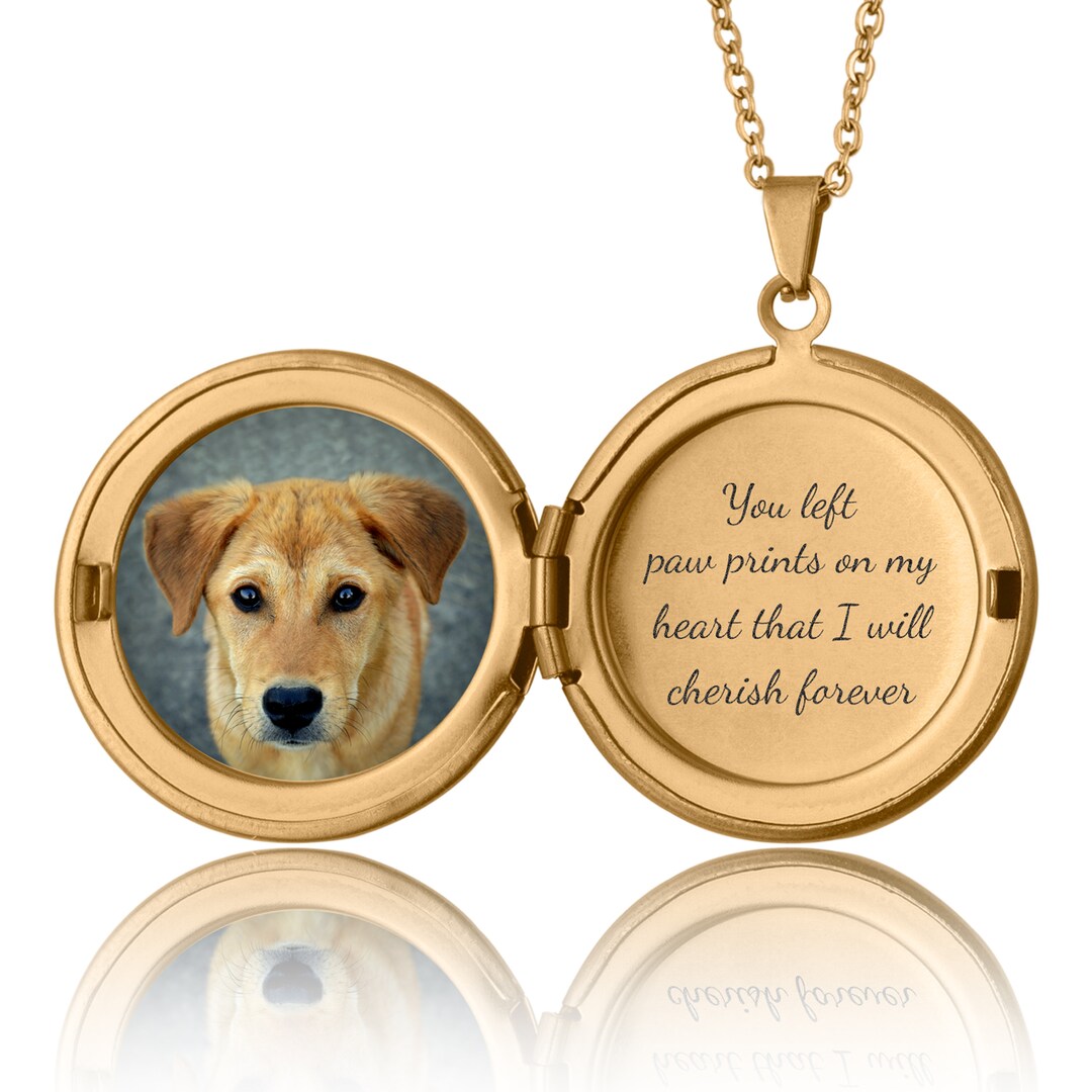 Dog Loss Memorial Locket With Photos, Dog Memorial Necklace, Custom ...