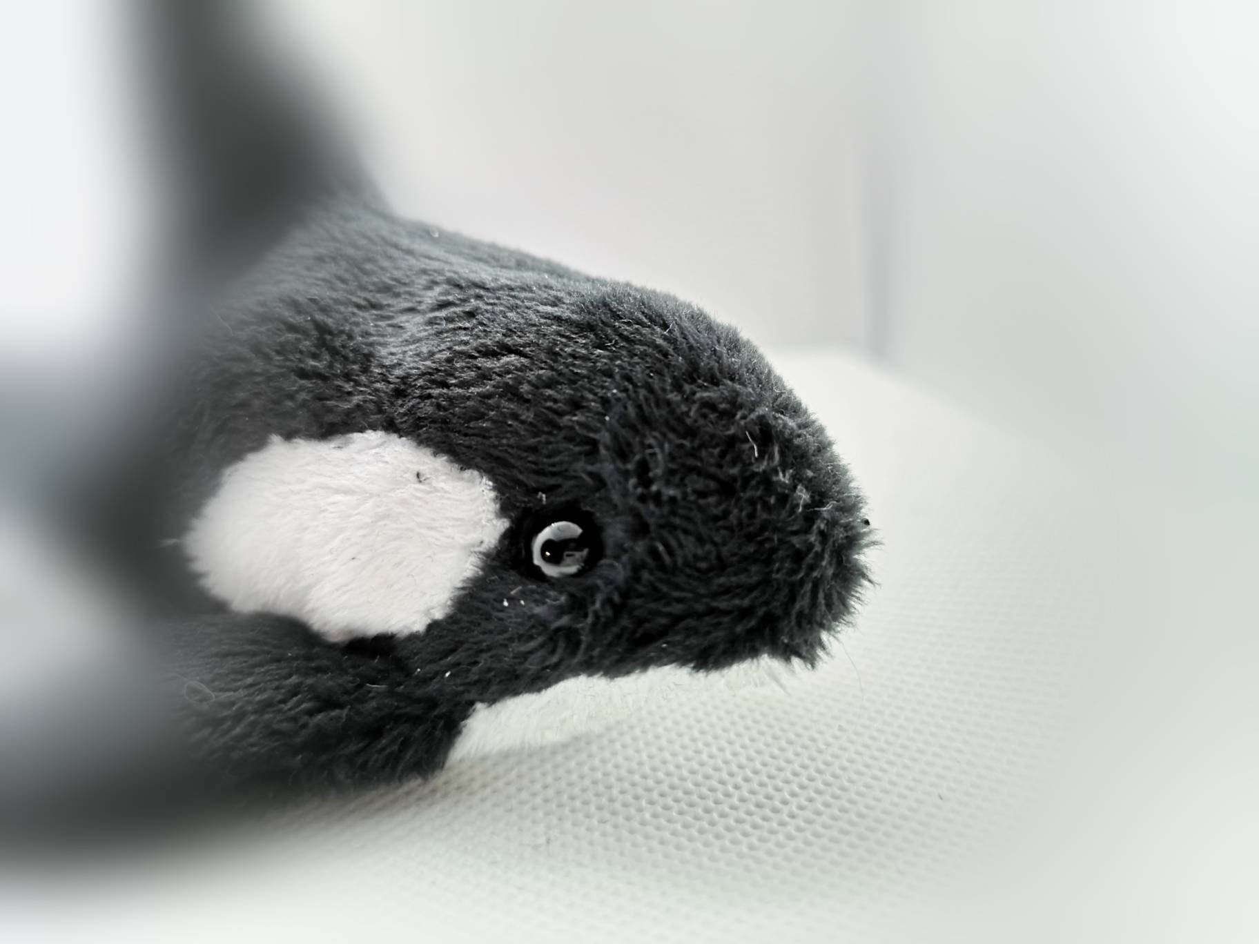 Killer Whale / Orca Plush Toy Collectable Beanie by - Etsy UK