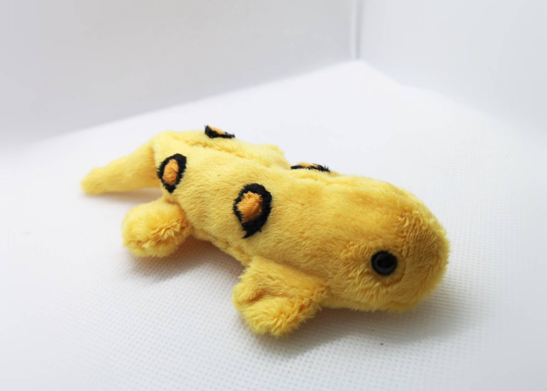 Eastern Newt Plush Beanie Collectable Toy by Froogandboog - Etsy