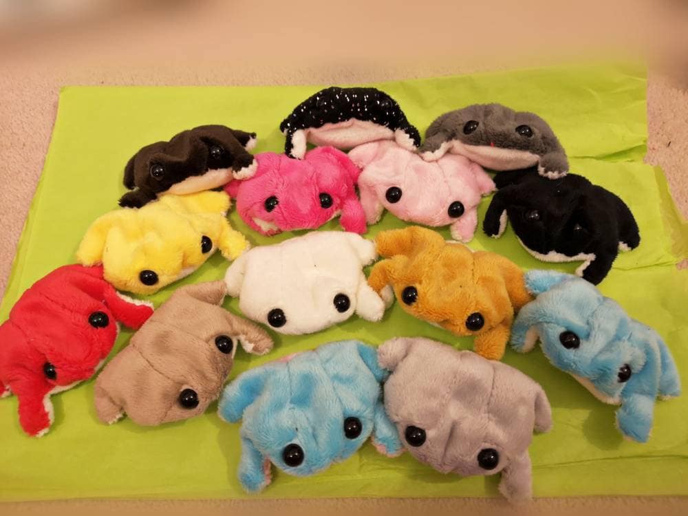 Made to Order Frog Beanie Plush Collectable by Froogandboog - Etsy