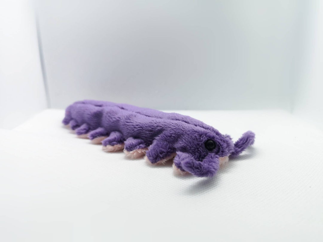 Velvet Worm Plush Toy Collectable Beanie - by Froogandboog - Etsy
