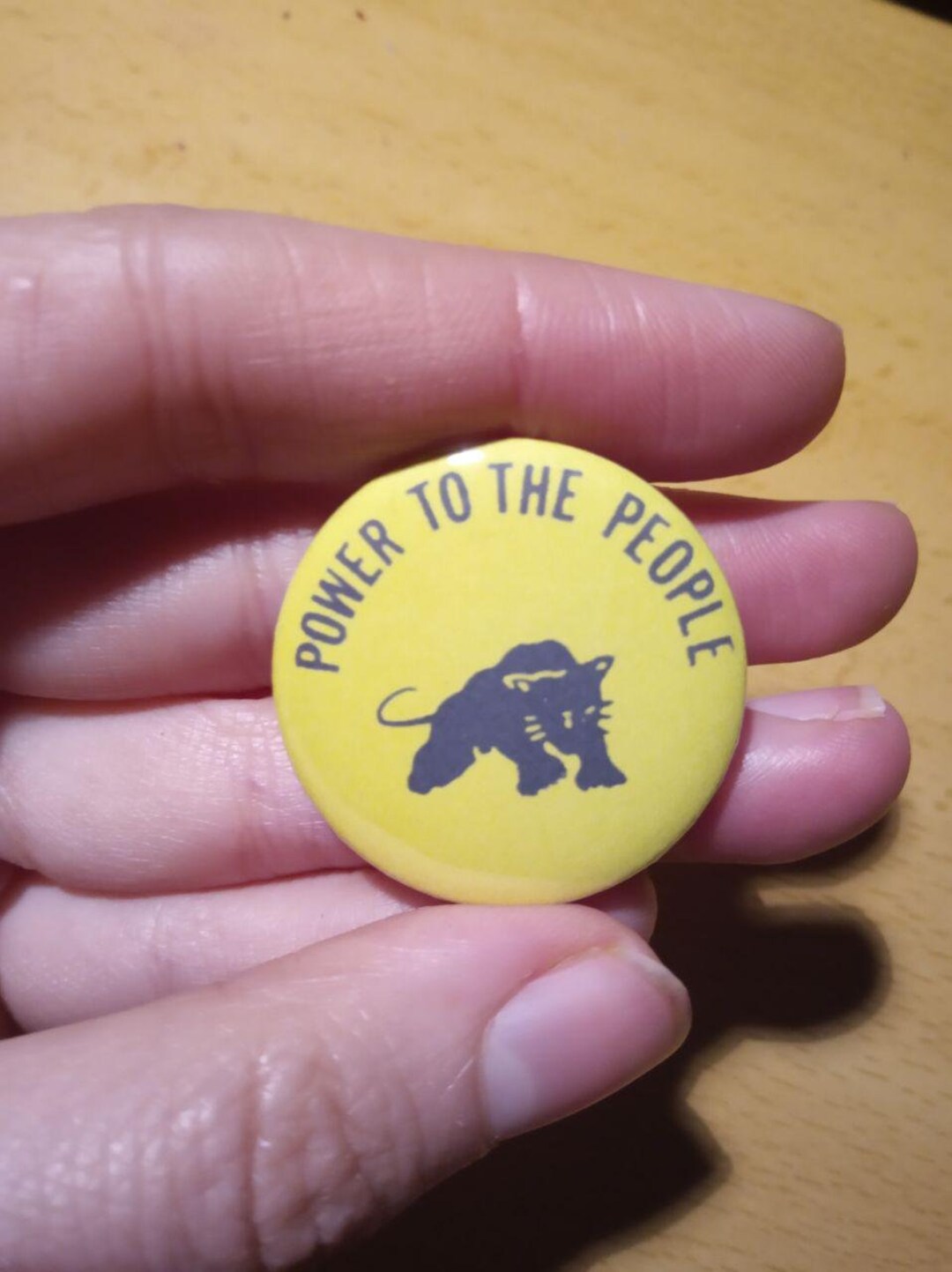 Power to the People Panthers Party Badge Button Pin - Etsy