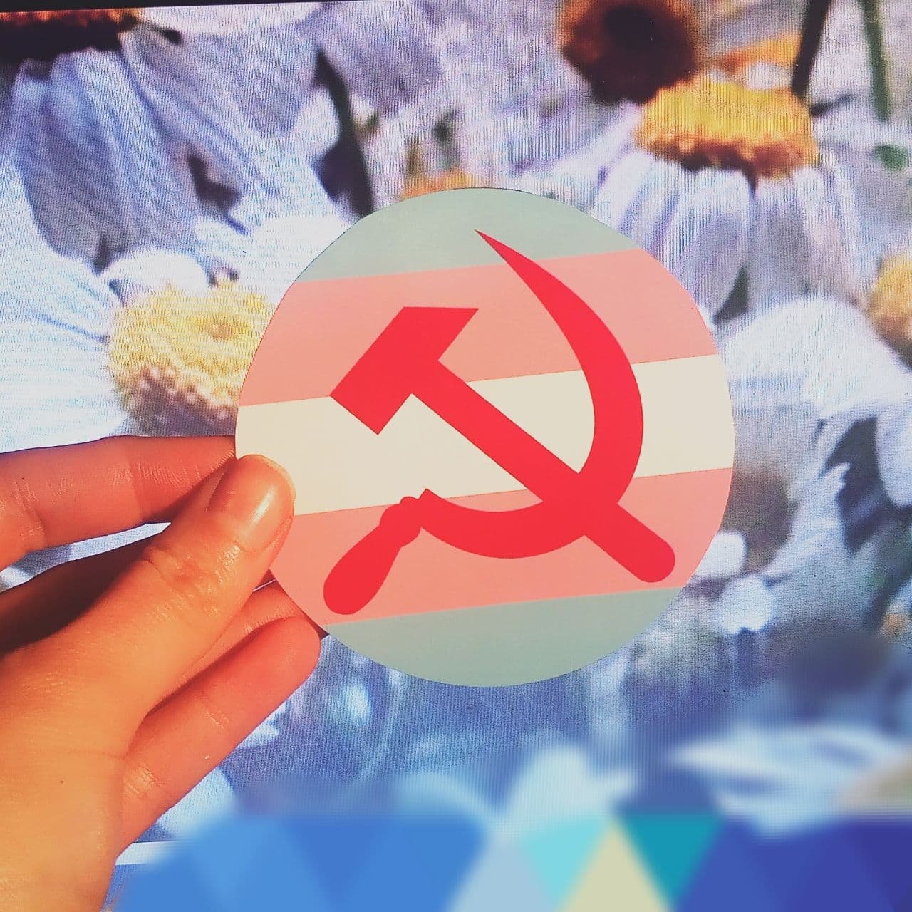 Trans Communist Hammer and Sickle Symbol Sticker - Etsy