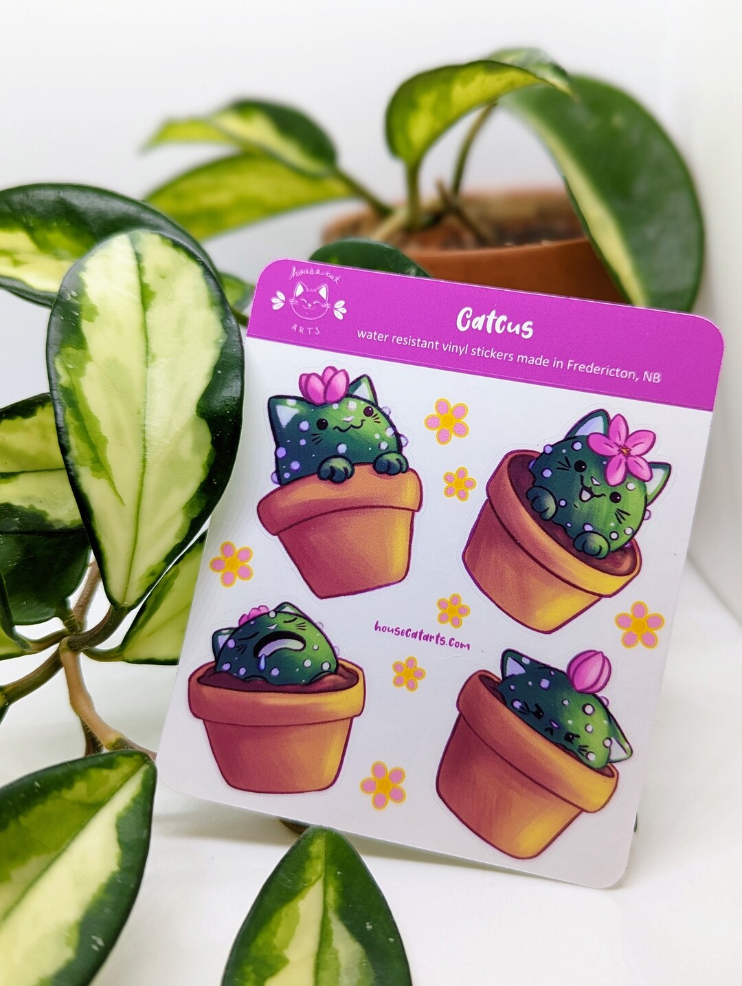 Catcus Sticker Sheet - Etsy