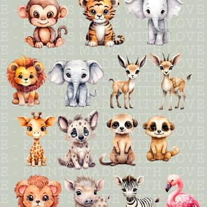 Baby Safari Animals Clipart Pack 15 Png Images Jungle Animals Small ...